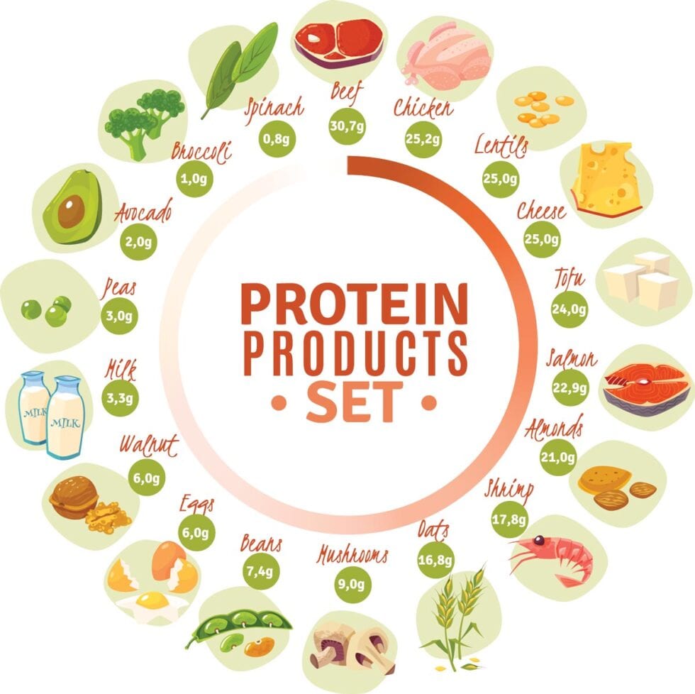 Understanding the Macros in your diet - Mind, Body Soul & Heart